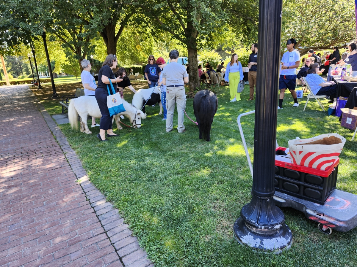 Tabling at Montserrat's Fresh Start Fair - The NAN Project